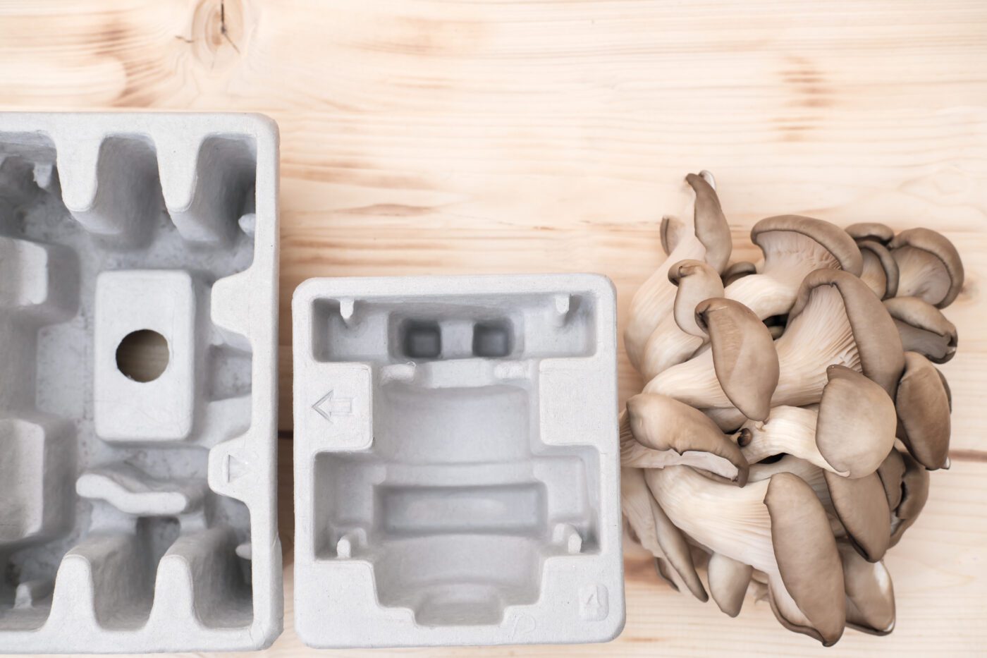 Sustainable Packaging Guide - Shipped AI